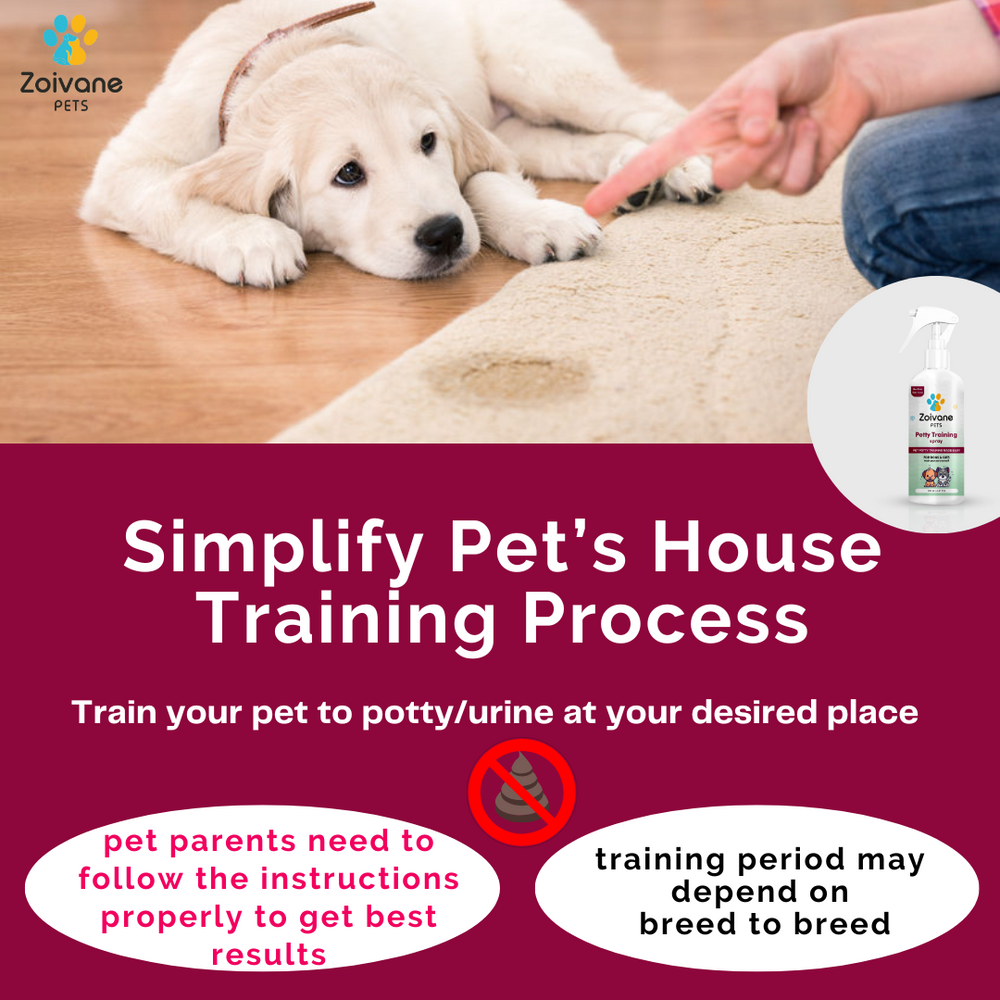 Potty Training Spray l Zoivane Pets